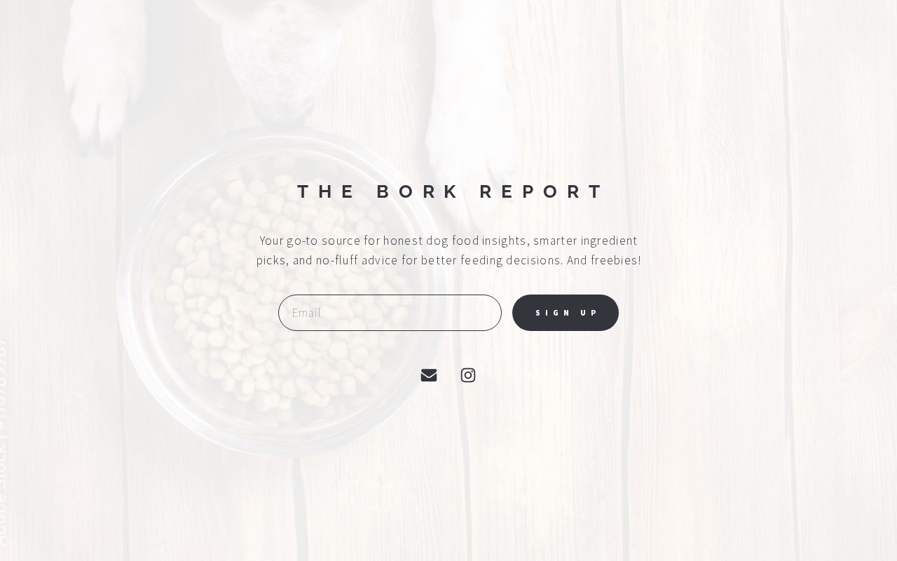 The Bork Report